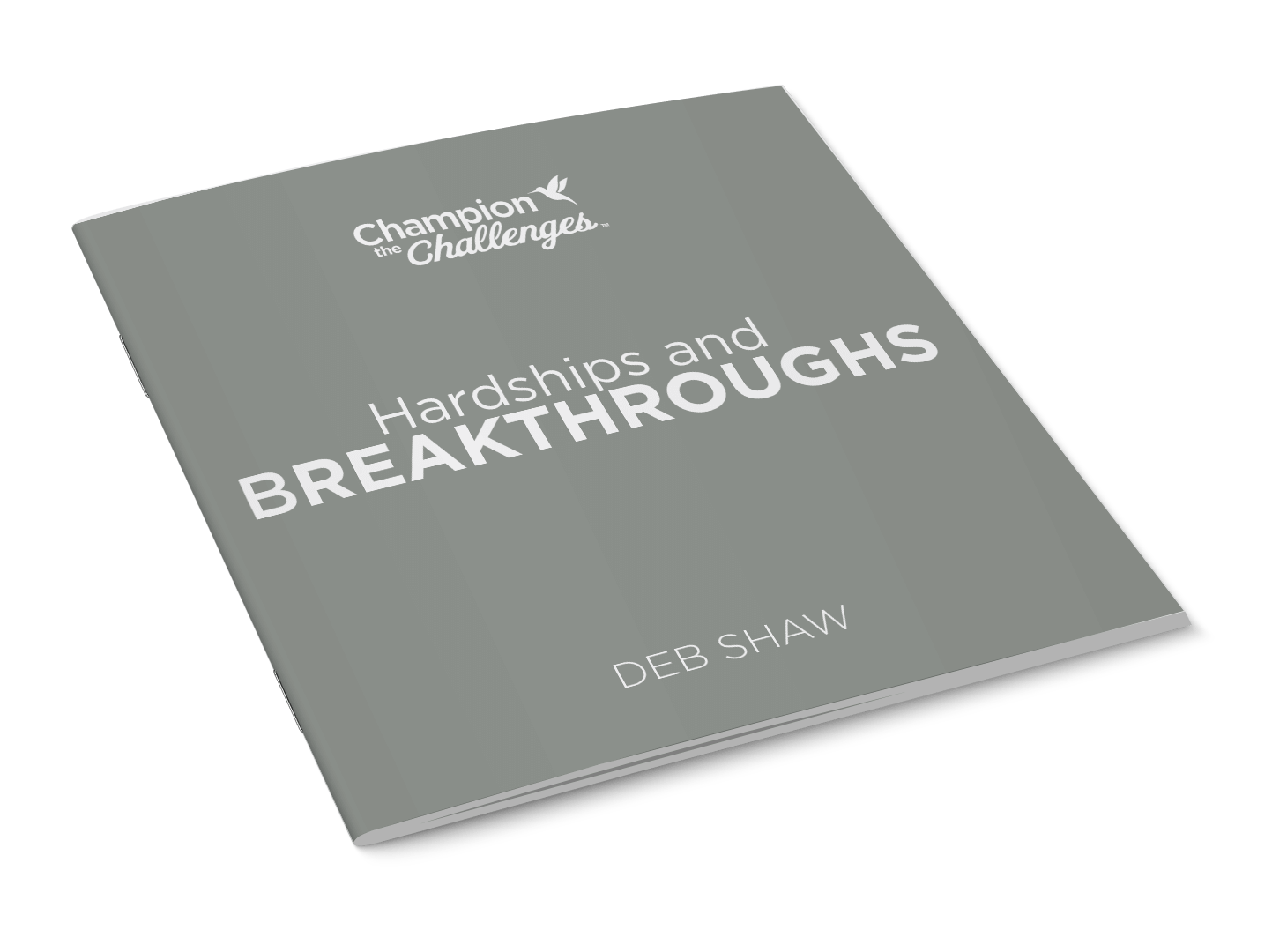 Booklets Beta - Champion the Challenges