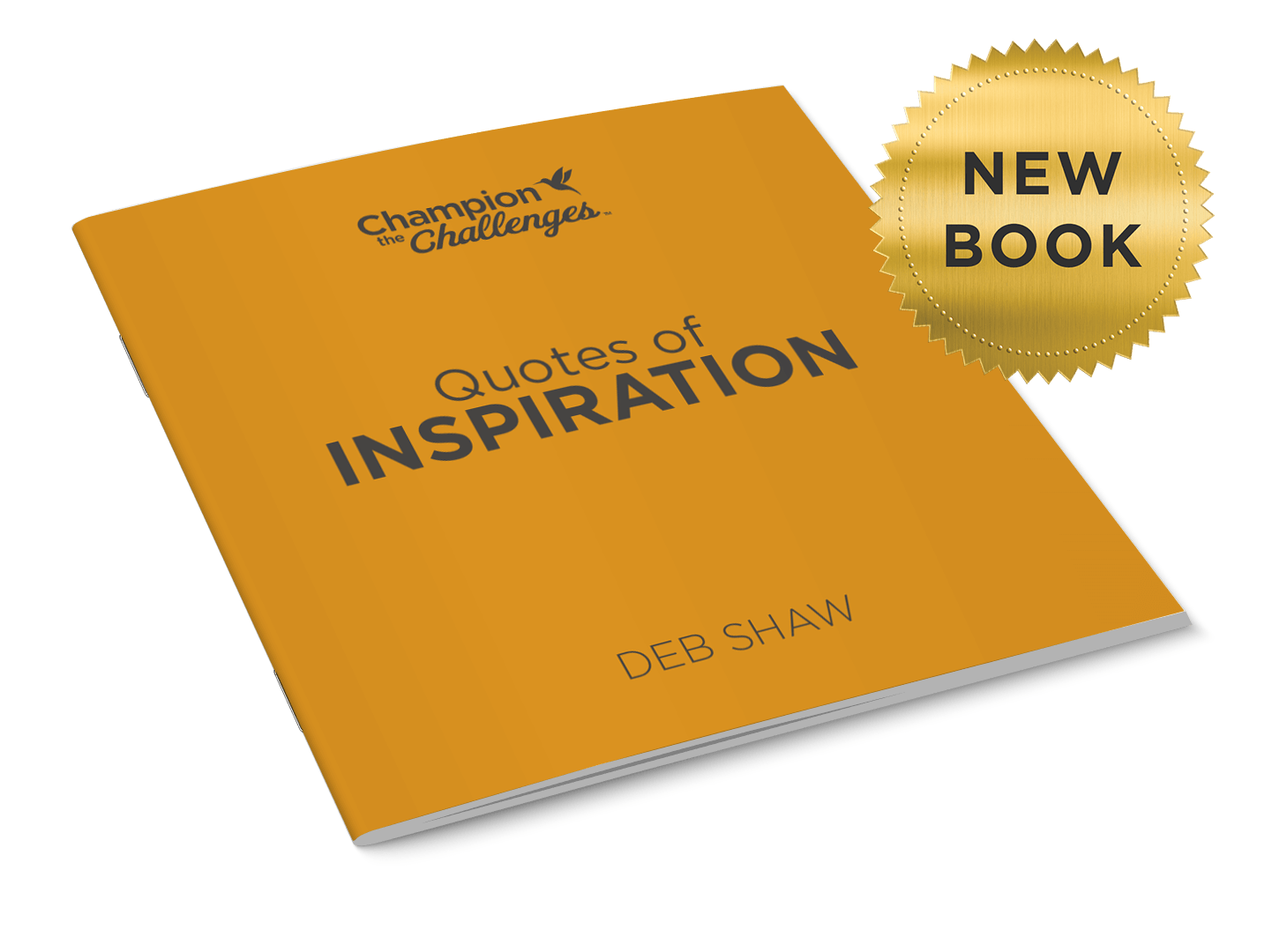 Booklets Beta - Champion the Challenges